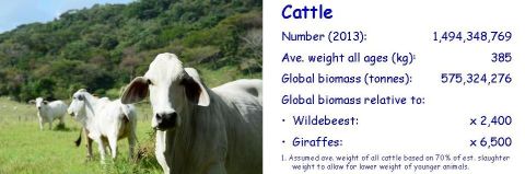 Meat, the environment and industry brainwashing | terrastendo