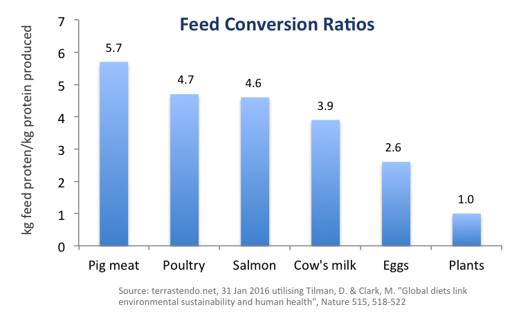 Feed-conversion-ratios | terrastendo