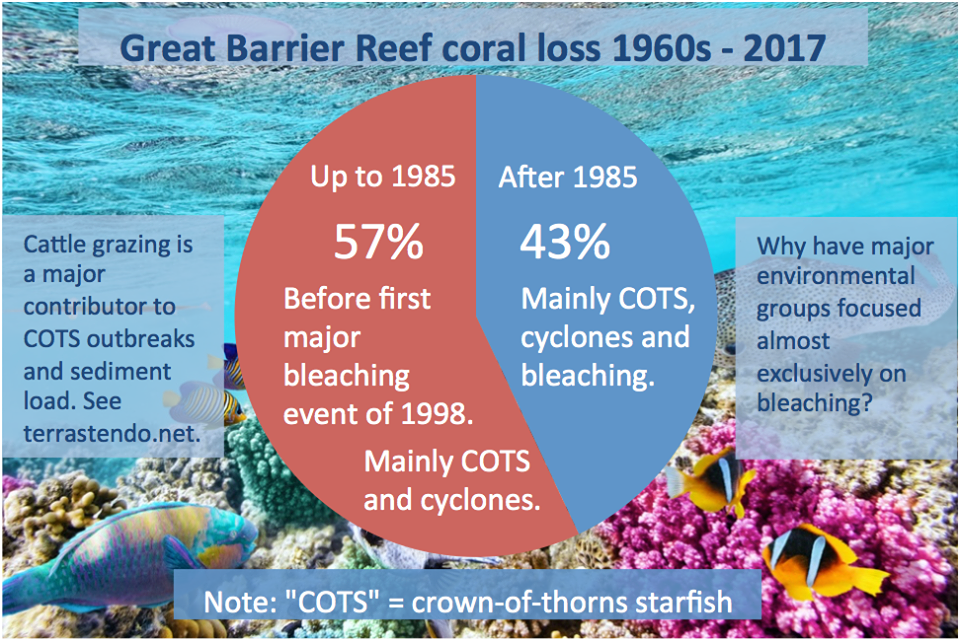 Coral-loss-pie-chart-terrastendo | terrastendo
